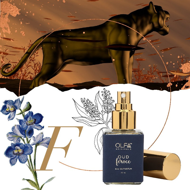 Eau De Parfum - Oud Edition – Olfa Originals